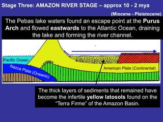 Amazon basin geological development | PPTX | Geography | Science