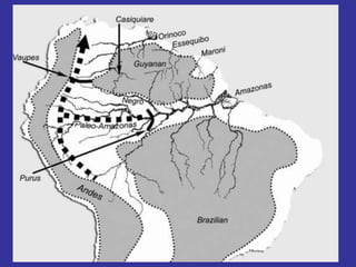 Amazon basin geological development | PPTX