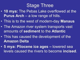Amazon basin geological development | PPTX | Geography | Science
