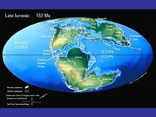 Amazon basin geological development | PPTX