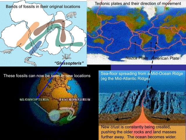 Amazon basin geological development | PPT