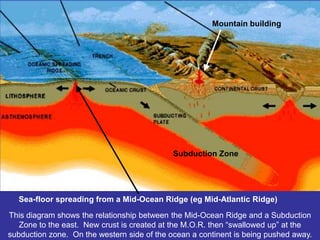 Amazon basin geological development | PPTX | Geography | Science