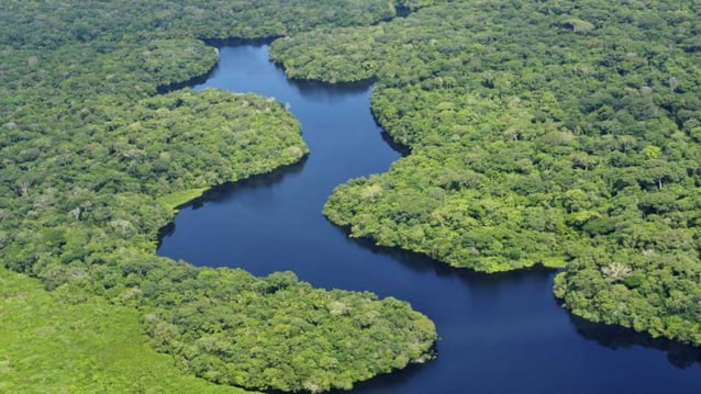 Amazon basin project | PPTX | South America Travel | Travel Locations