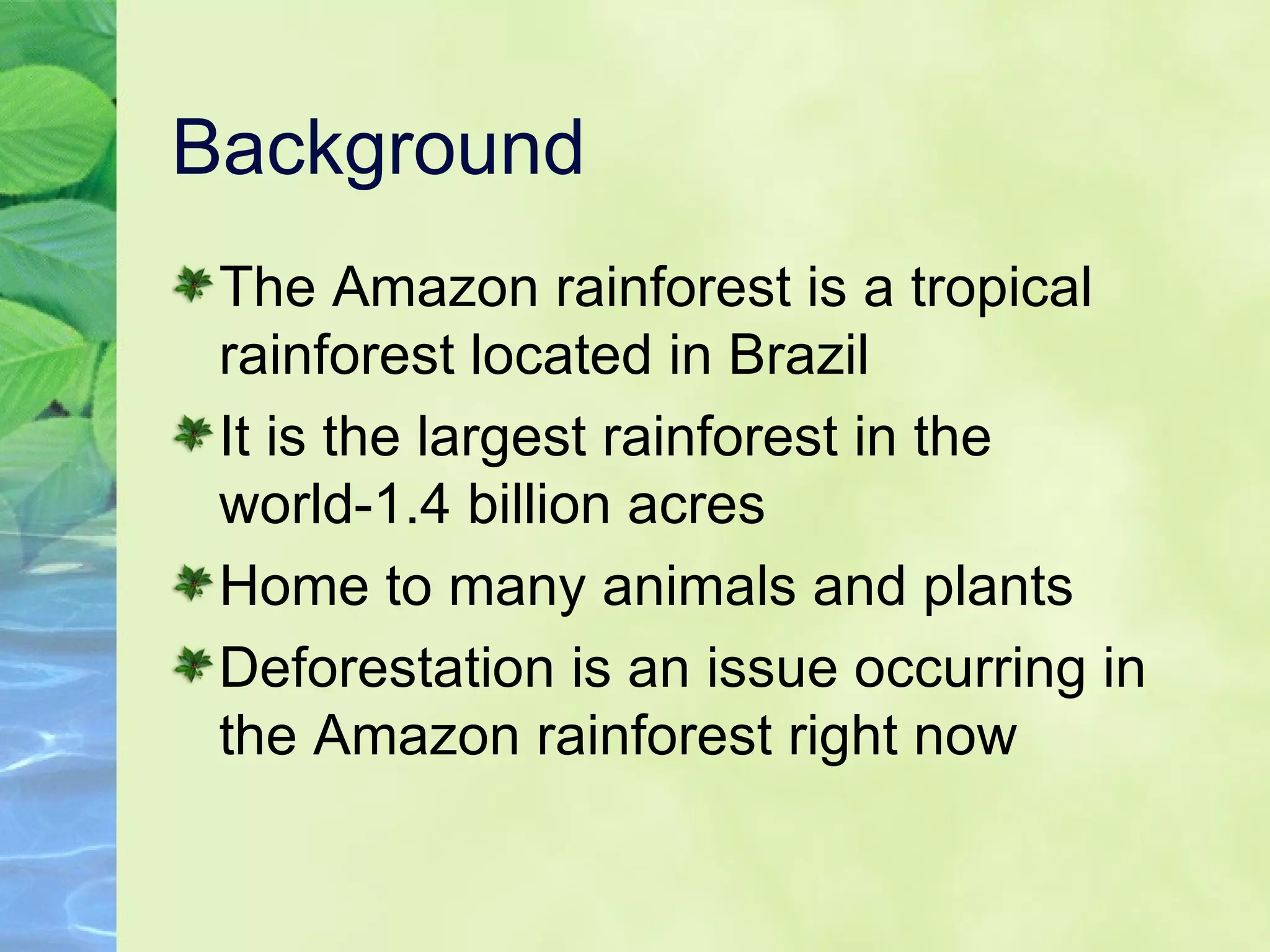 Amazon deforestation presentation | PPT