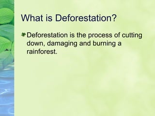 Amazon deforestation presentation | PPT
