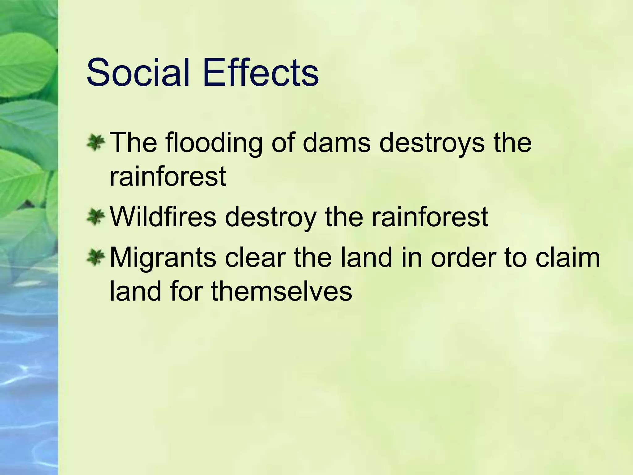 Amazon deforestation presentation | PPTX