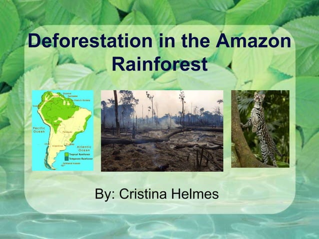 Amazon deforestation presentation | PPTX