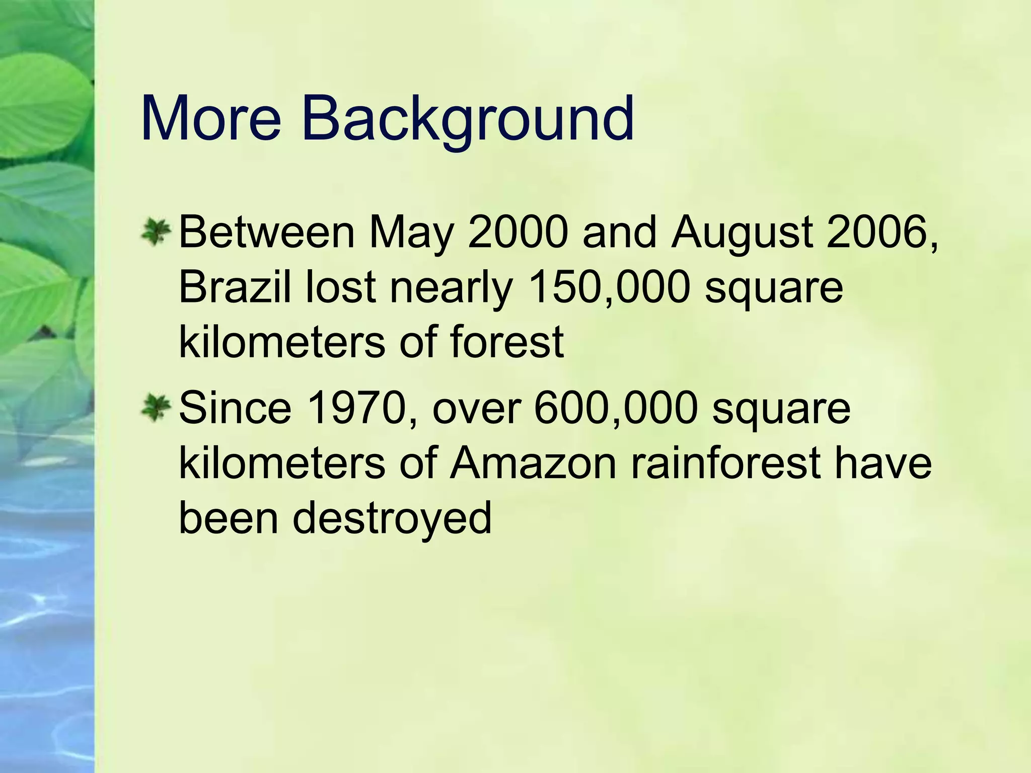 Amazon deforestation presentation | PPTX