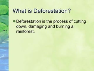Amazon deforestation presentation | PPTX