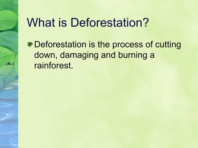 Amazon deforestation presentation | PPTX