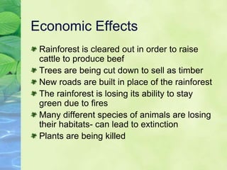Amazon deforestation presentation | PPTX