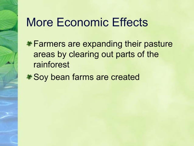 Amazon deforestation presentation | PPTX