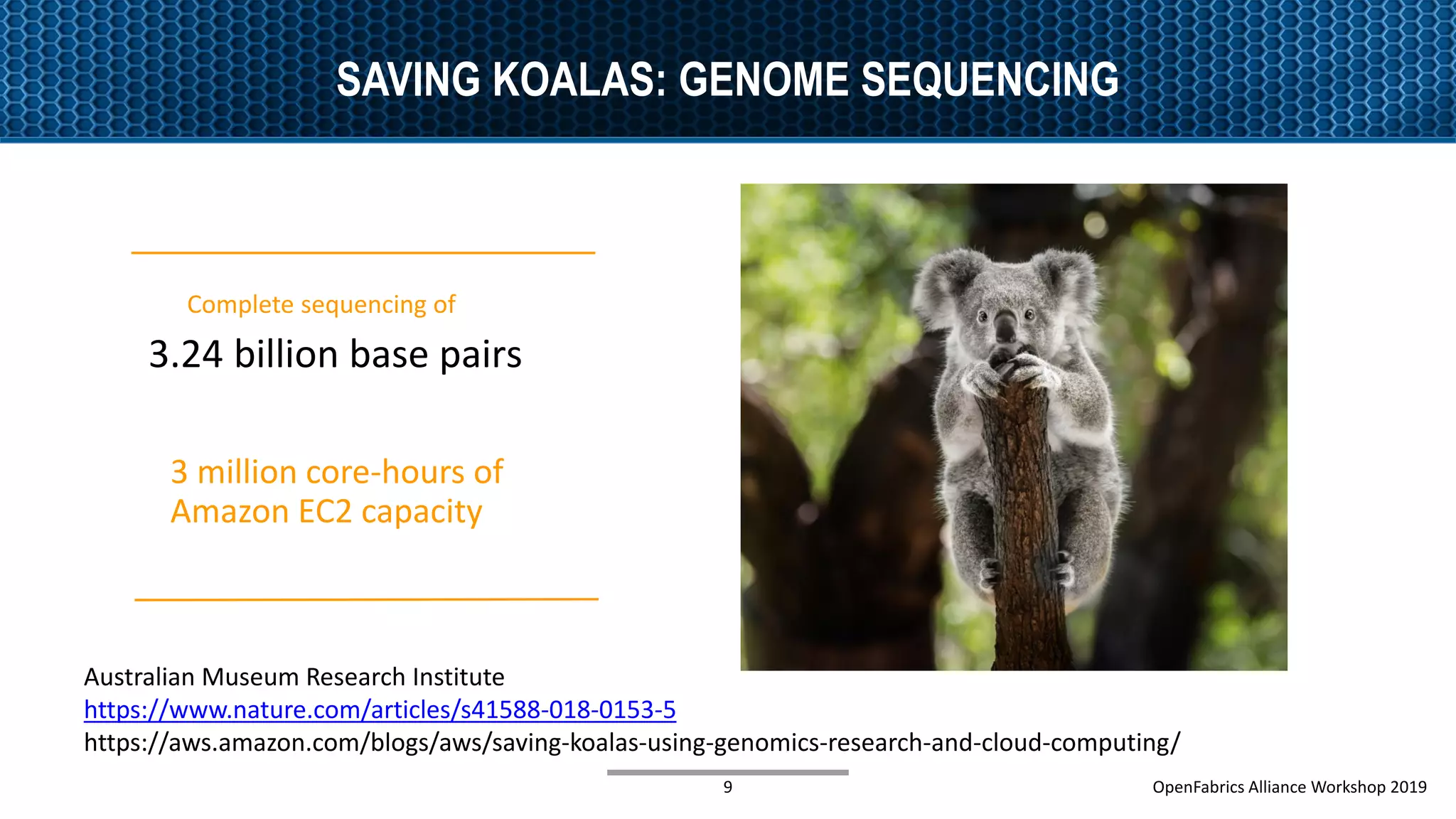Amazon Elastic Fabric Adapter: Anatomy, Capabilities, and the Road ...