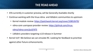 Amazon Elastic Fabric Adapter: Anatomy, Capabilities, and the Road ...