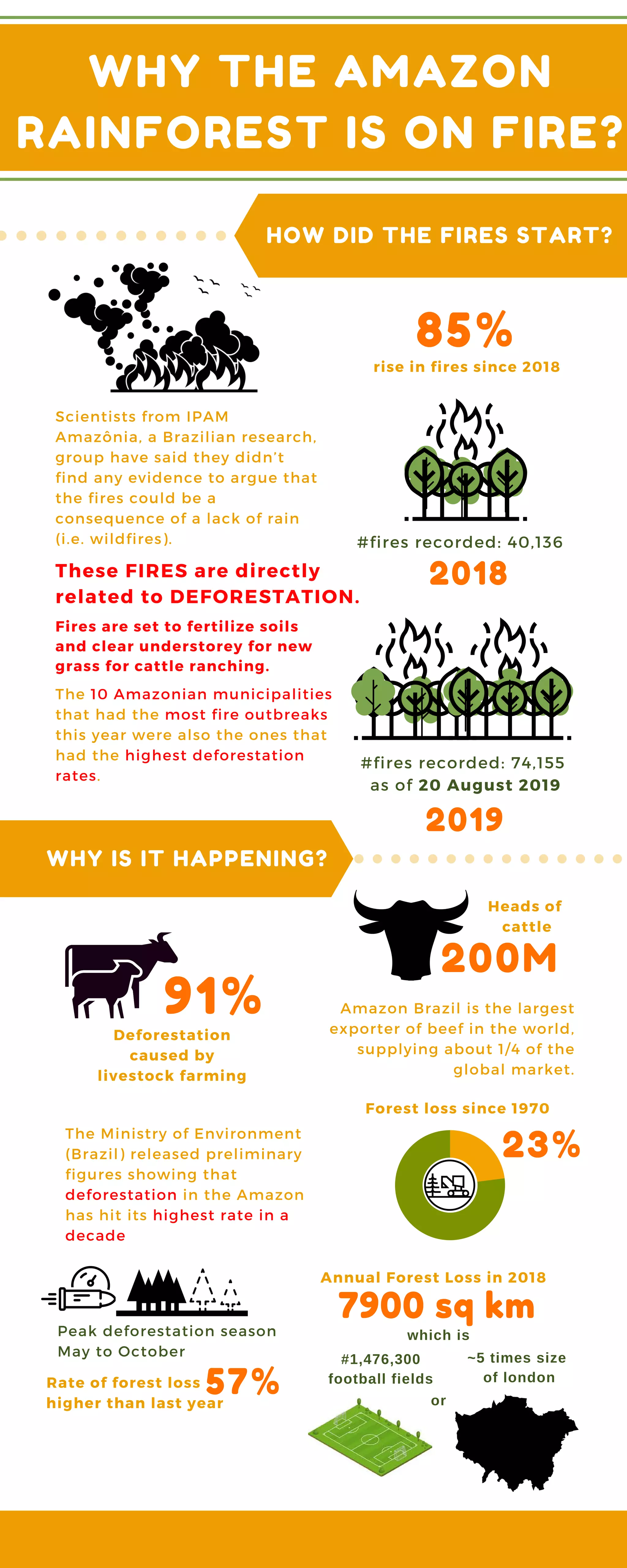 Info graphic on Understanding the Amazon Rain forest Fire 2019 | PDF