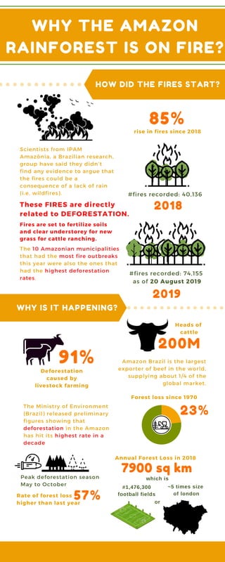 Info graphic on Understanding the Amazon Rain forest Fire 2019 | PDF