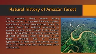 Amazon forest | PPT