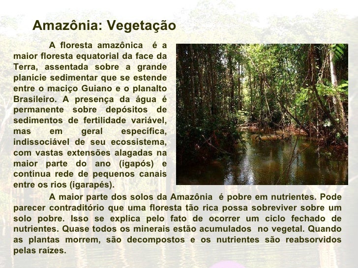 Amazonia