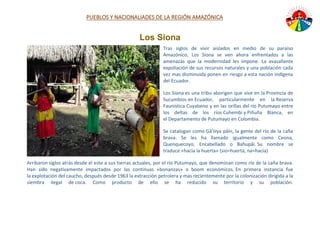 Amazonia | PDF