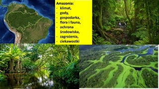 Amazonia | PPTX