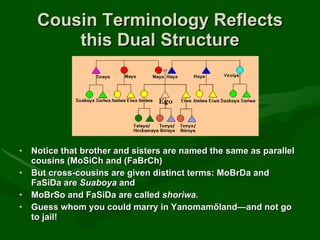 Amazonia and the Orinoco | PPT