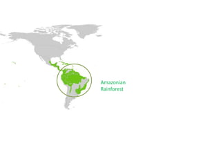 Amazonian Vernacular Architecture | PPTX