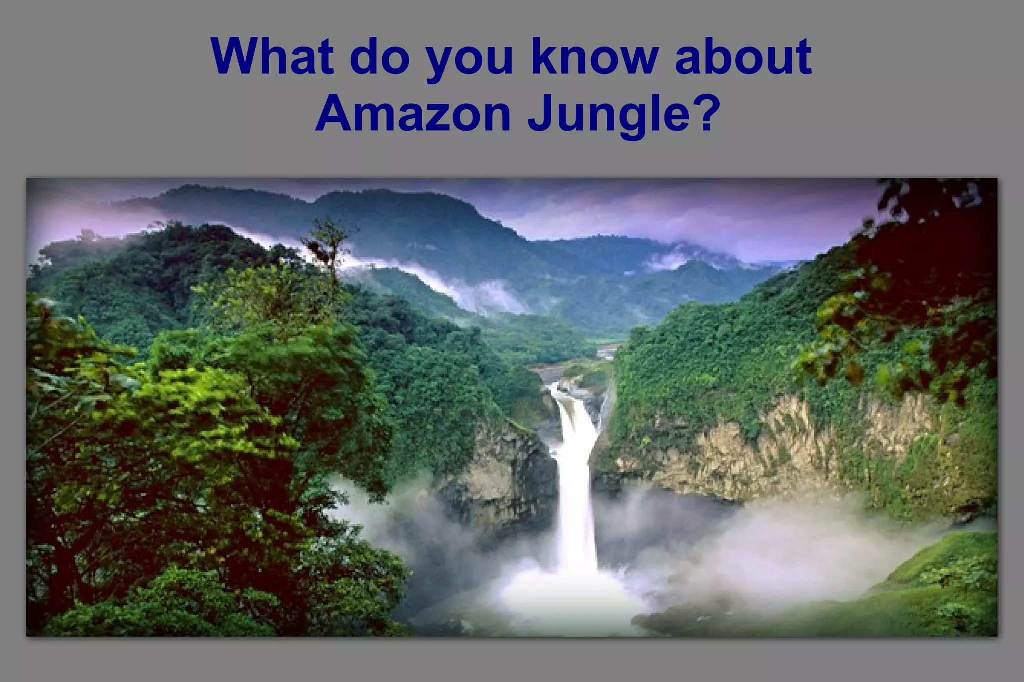 Amazon jungle | PPT