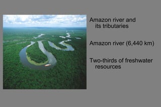 Amazon jungle | PPT