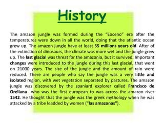 Amazonjungle | PPTX