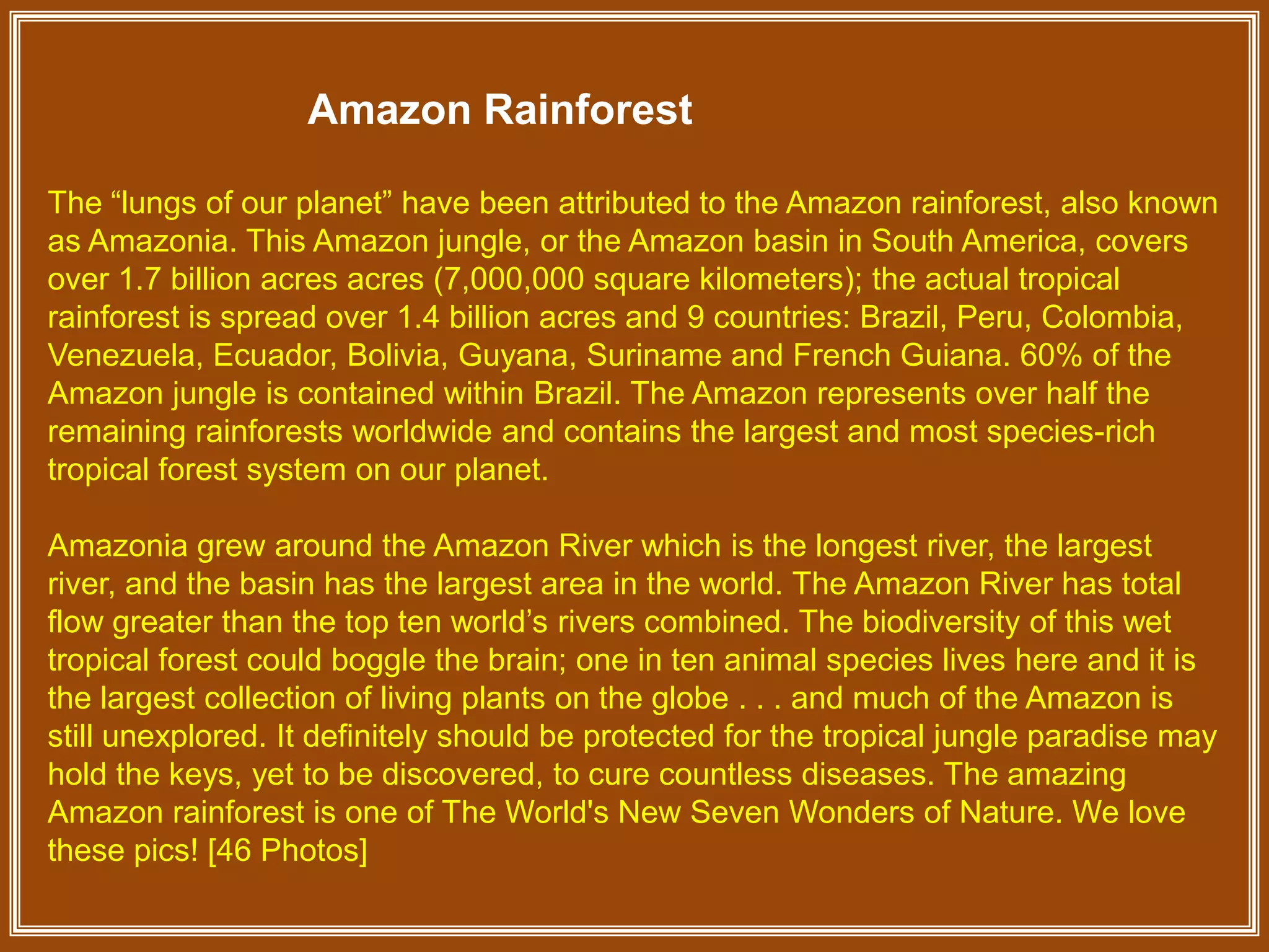 Amazon rainforest | PPT