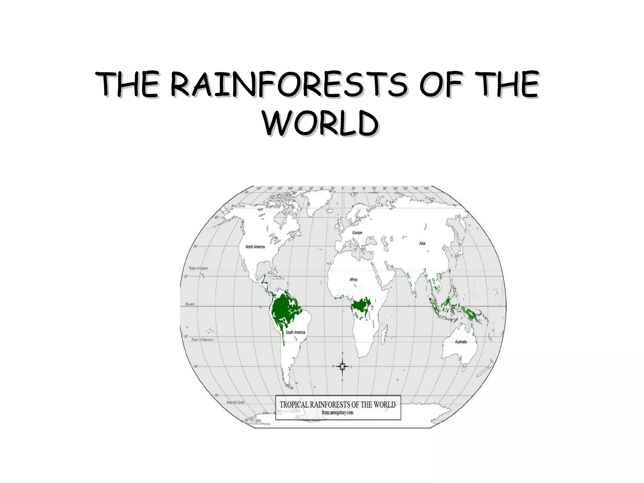 Amazon rainforest | PPT