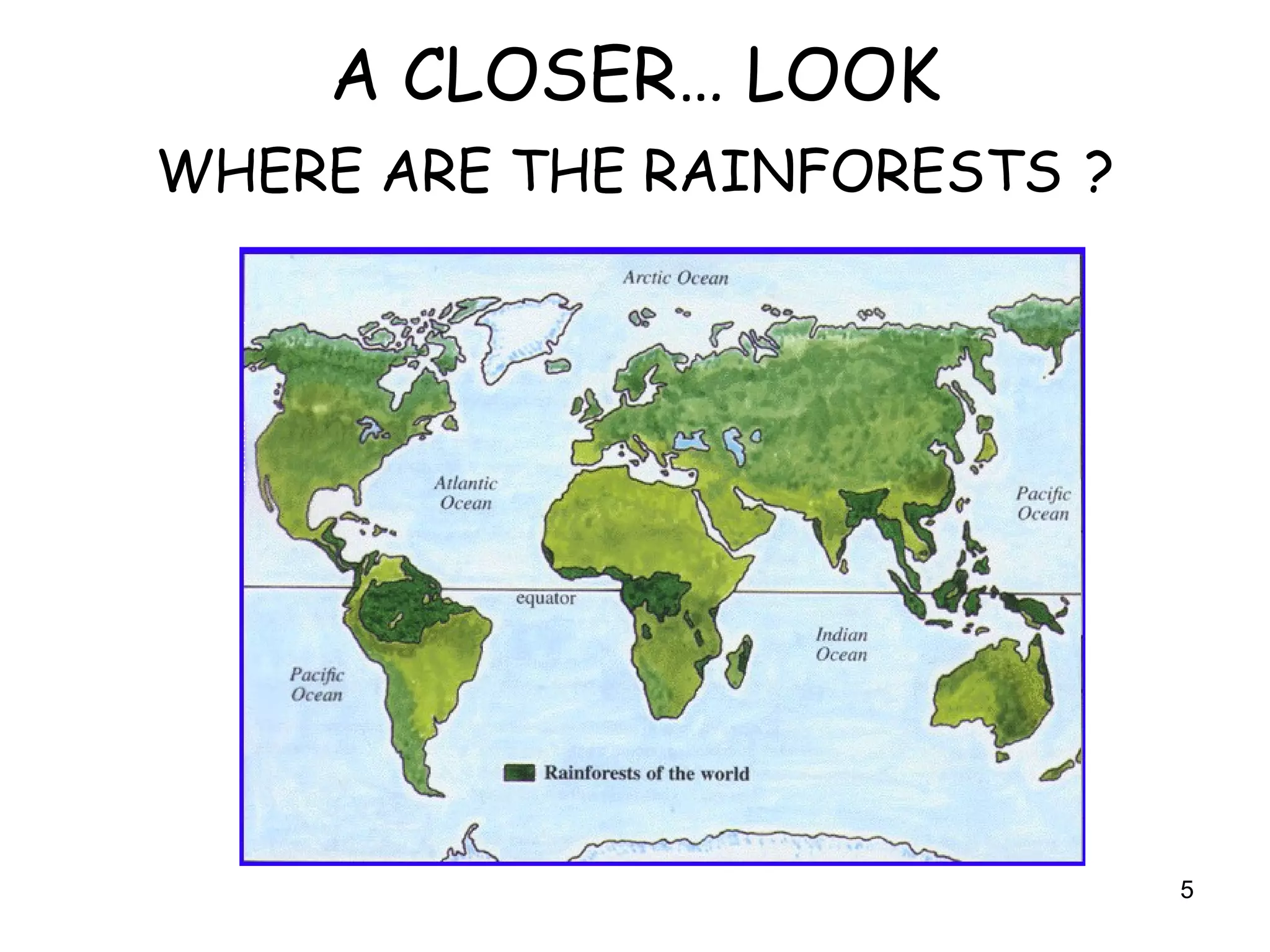 Amazon rainforest | PPT