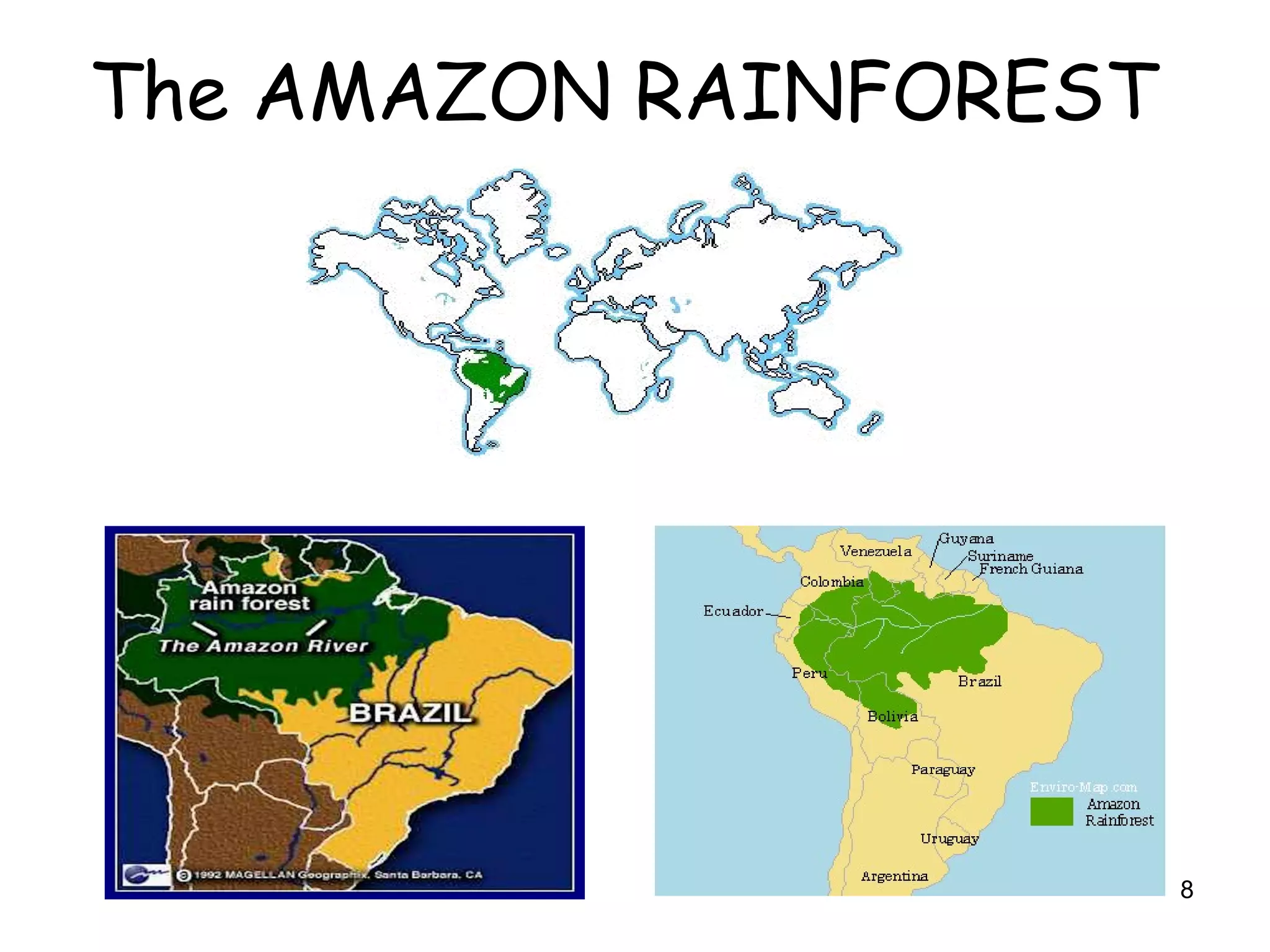 Amazon rainforest | PPT