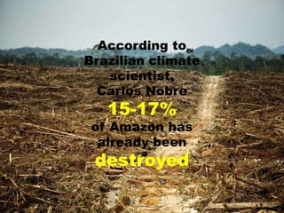 Amazon Rainforest | PPT