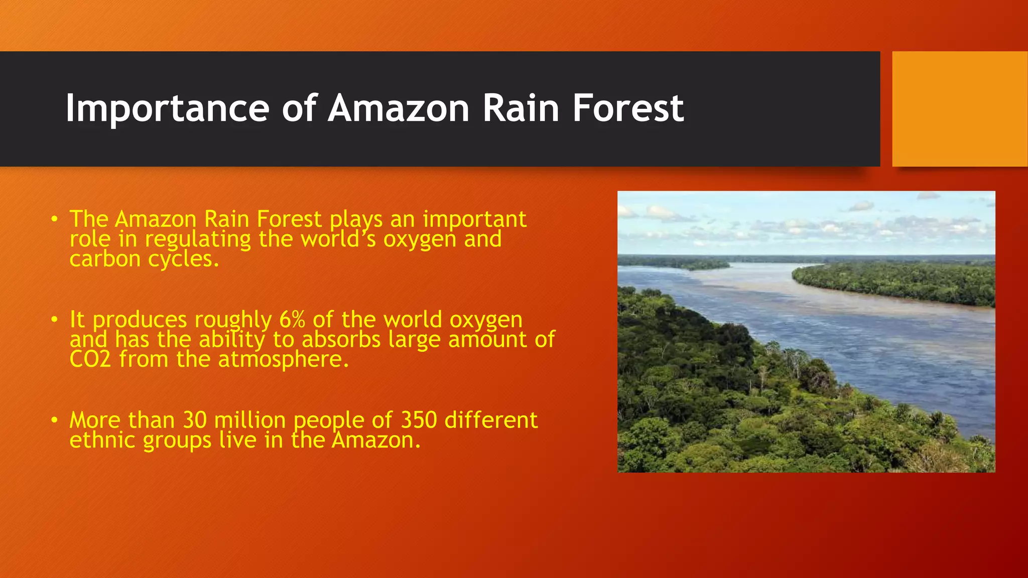 Amazon rain forest | PPT