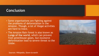 Amazon rain forest | PPT