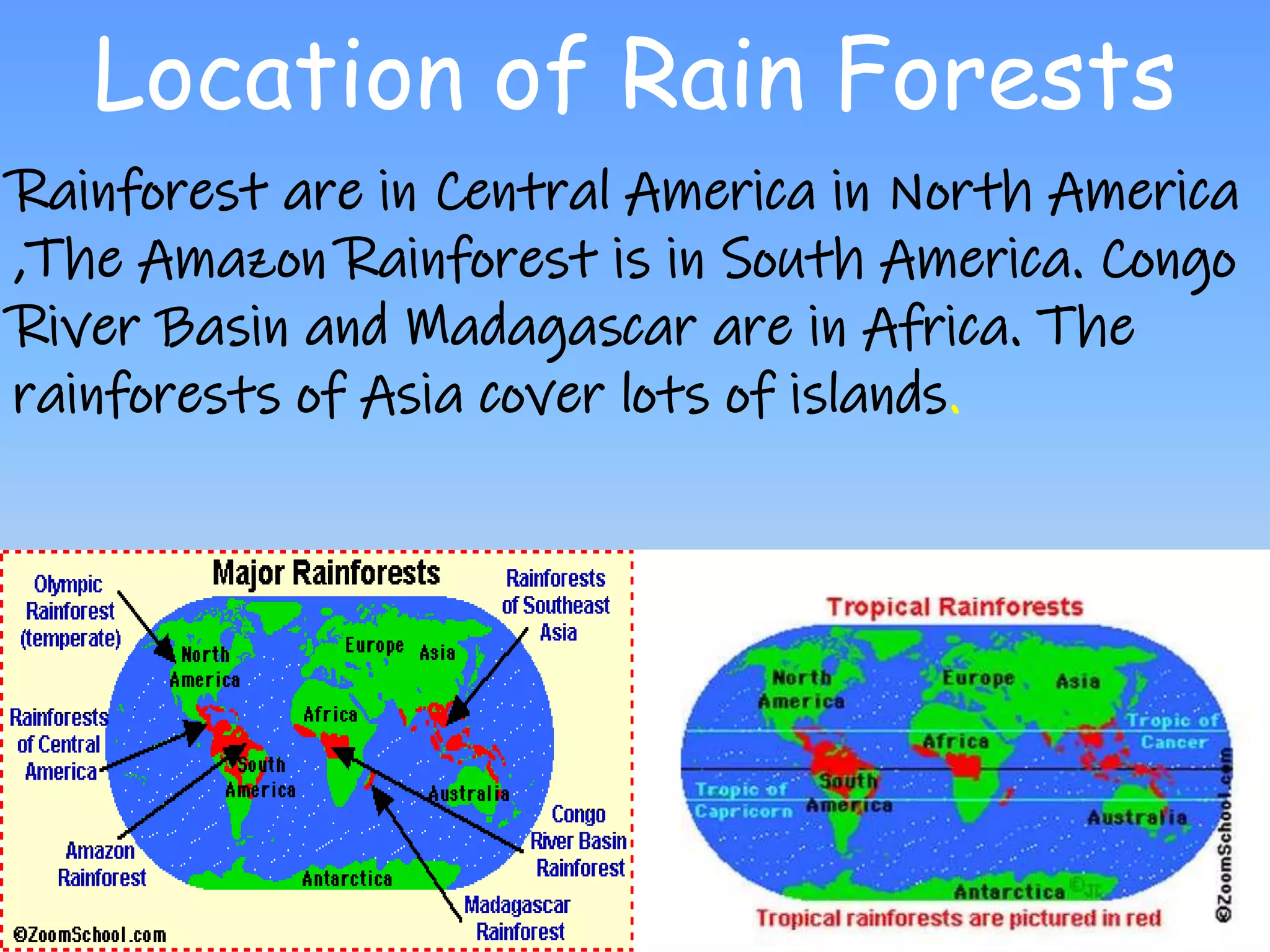Amazon rain forest.pptx