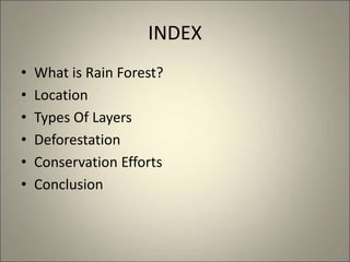 Amazon rain forest.pptx