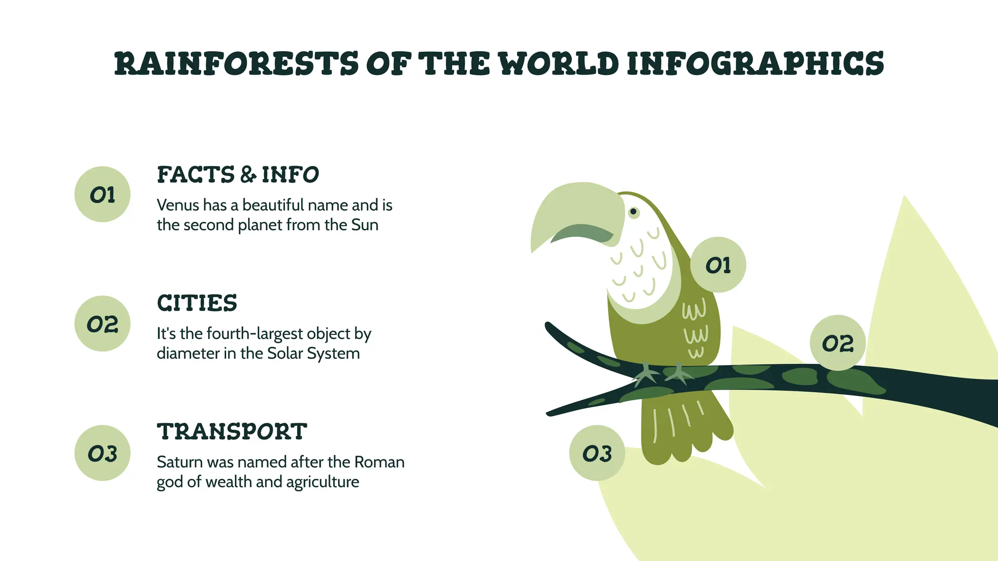 Amazon Rainforest.pdffffffffffffffffffff | PDF