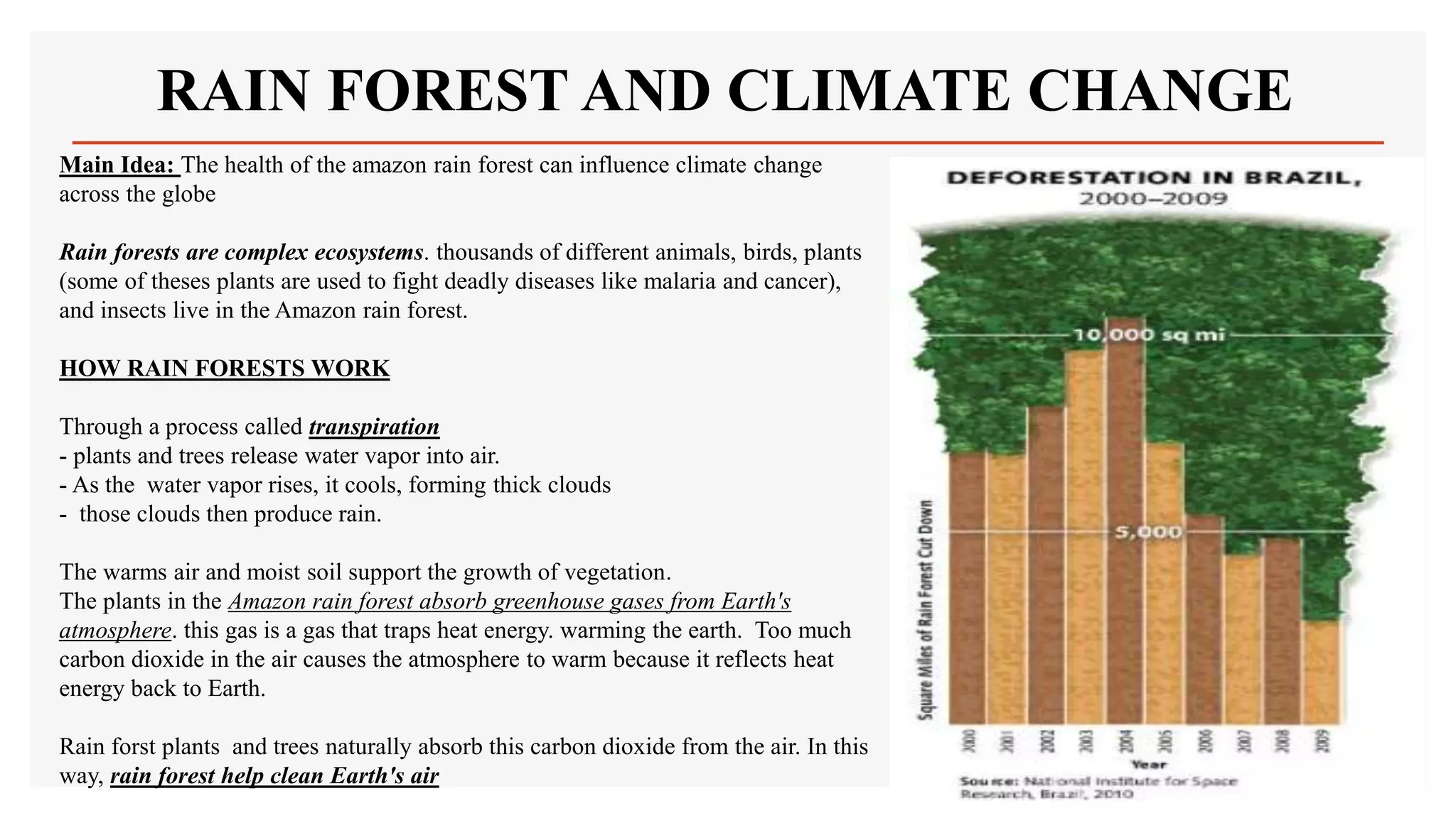 AMAZON RAIN FOREST AND CLIMATE CHANGE.pptx