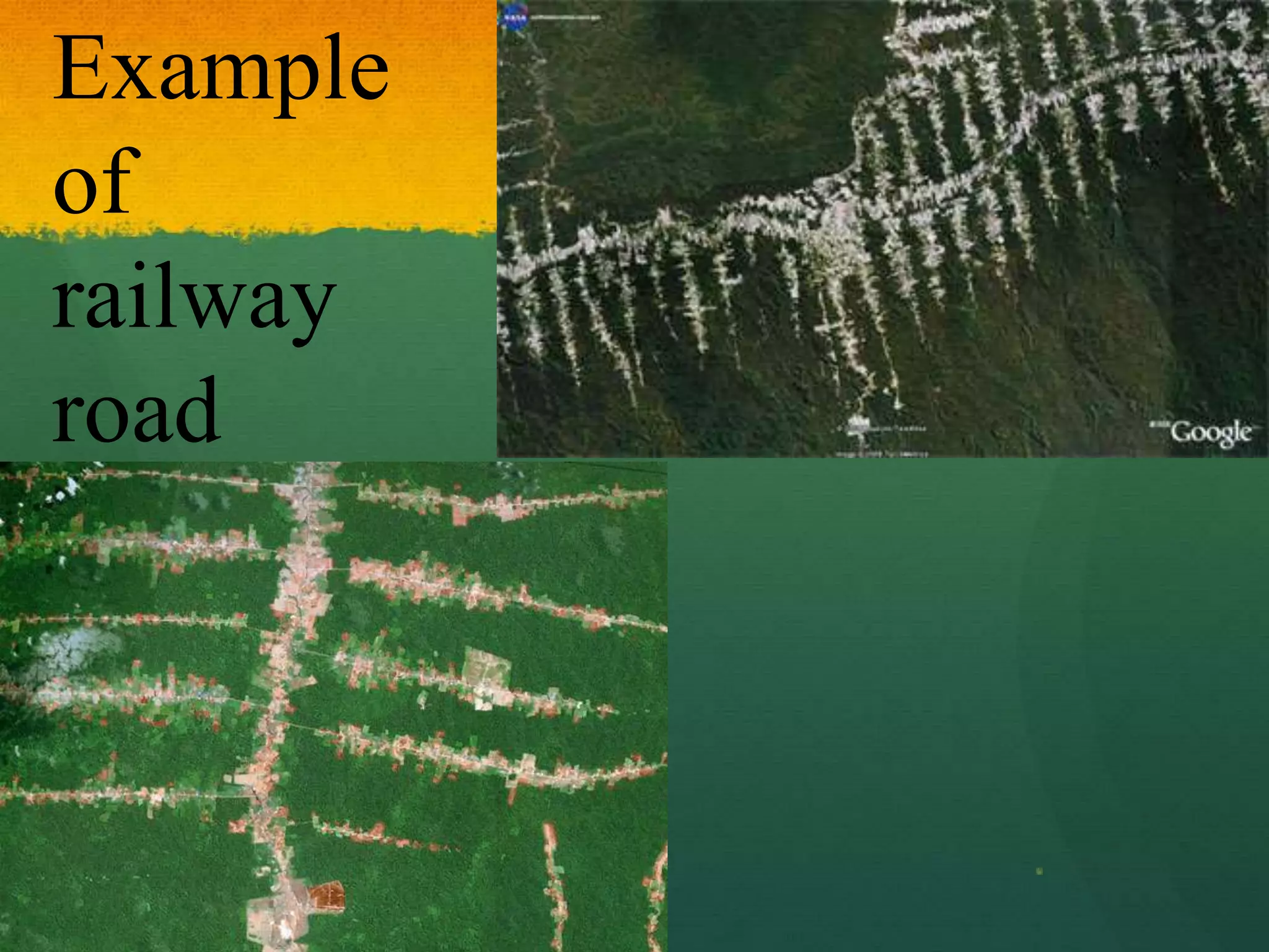 amazon_rainforest_case_study.pptx