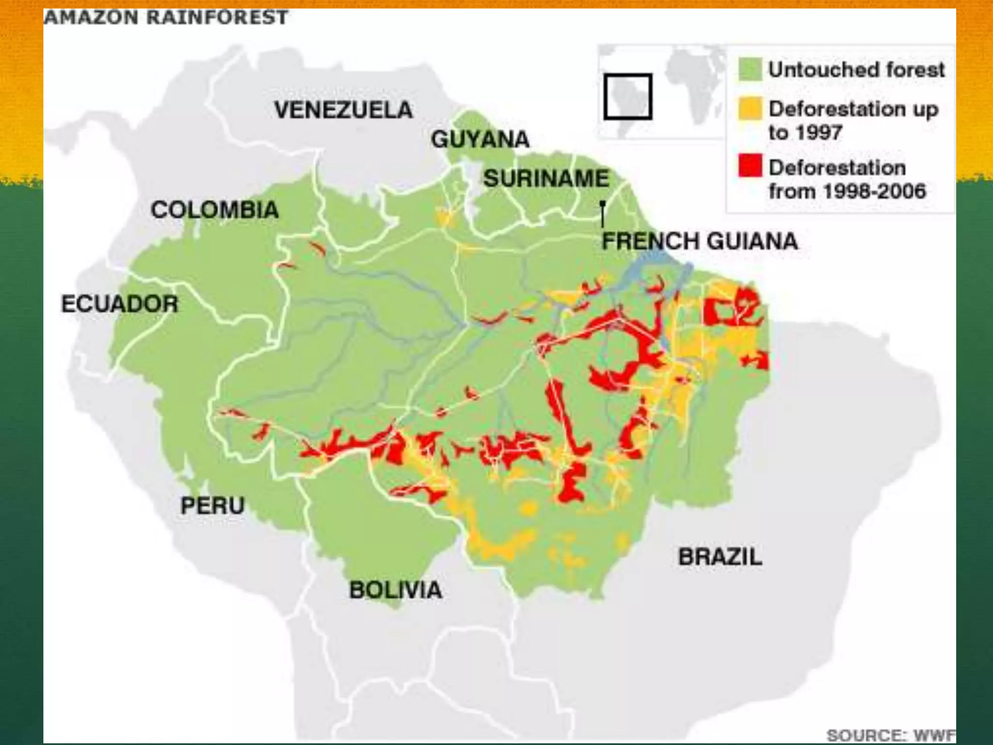 amazon_rainforest_case_study.pptx