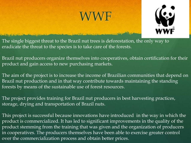 amazon_rainforest_case_study.pptx