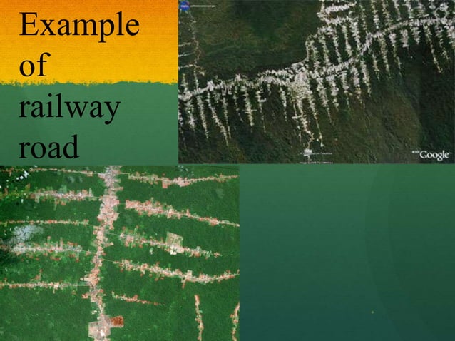 amazon_rainforest_case_study.pptx