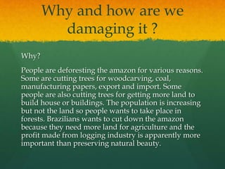amazon_rainforest_case_study.pptx