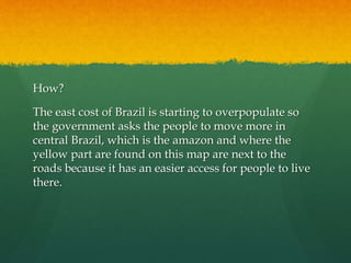 amazon_rainforest_case_study.pptx