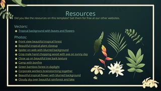 Comprehensive Presentation on Amazon Rainforest Deforestation and ...