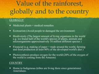 amazon_rainforest Fred.pptx