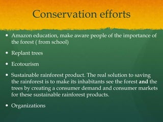 amazon_rainforest Fred.pptx
