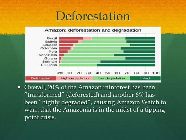 amazon_rainforest Fred.pptx